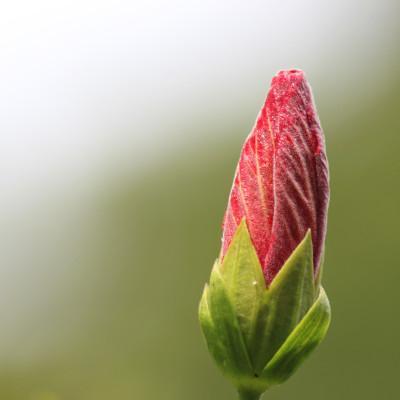 mcp-server-explorer - 梅斯AI导航站