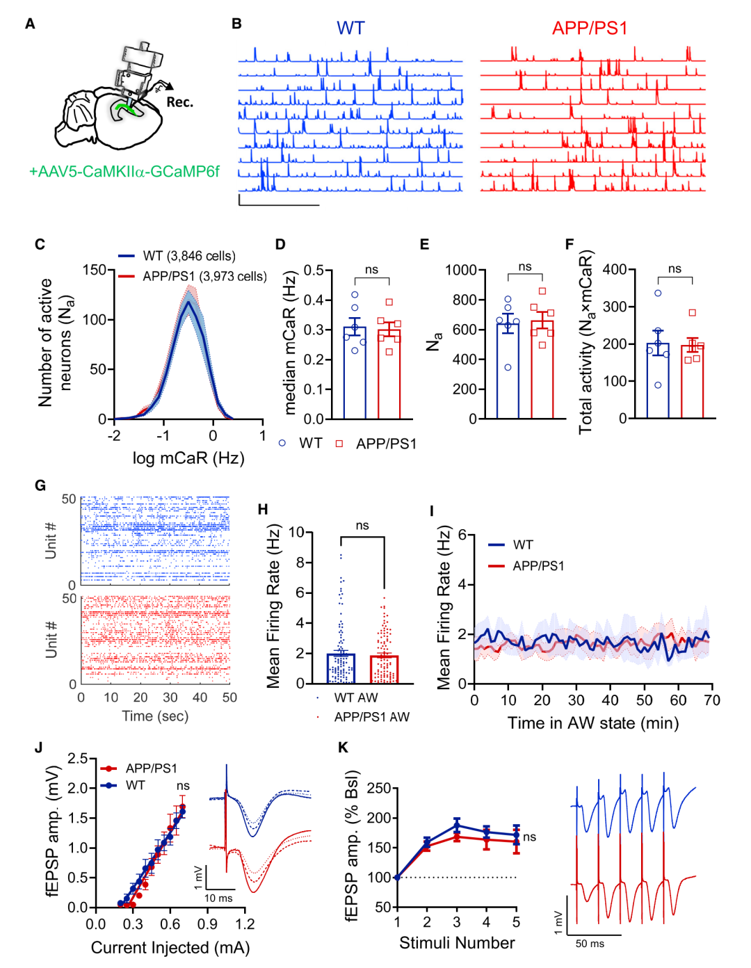 Cell Rep：阿尔茨海默病早期在睡眠时可能存在神经环路功能失调-MedSci.cn