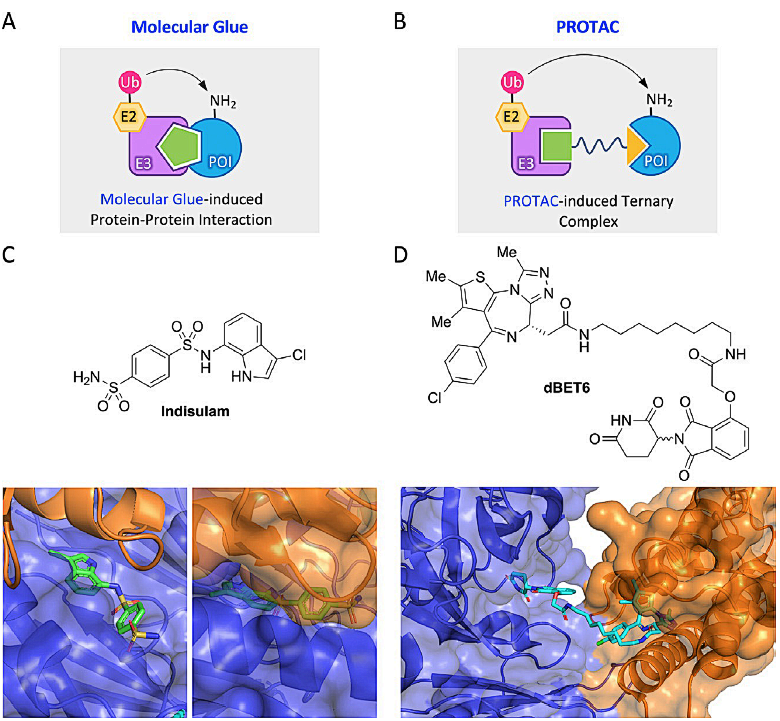 提高PROTAC药物口服生物利用度的7大策略-MedSci.cn